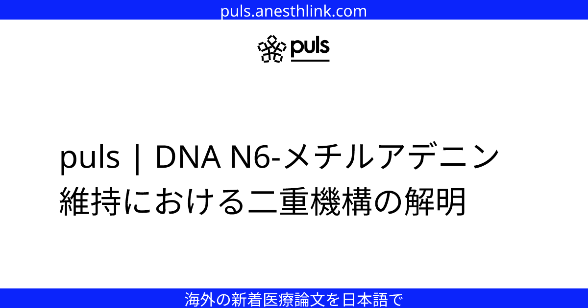 puls | DNA N6-メチルアデニン維持における二重機構の解明